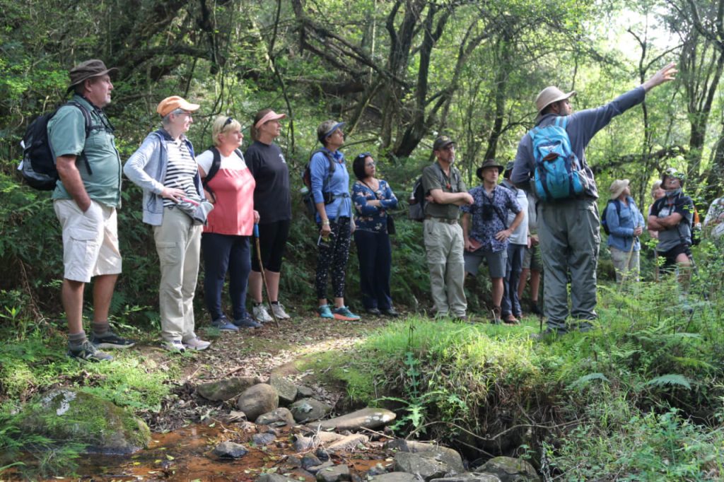 The Boston Dargle Impendle Tourism – The Community Tourism Organisation