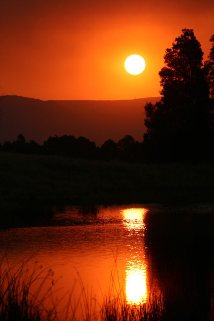 The Boston Dargle Impendle Tourism – The Community Tourism Organisation